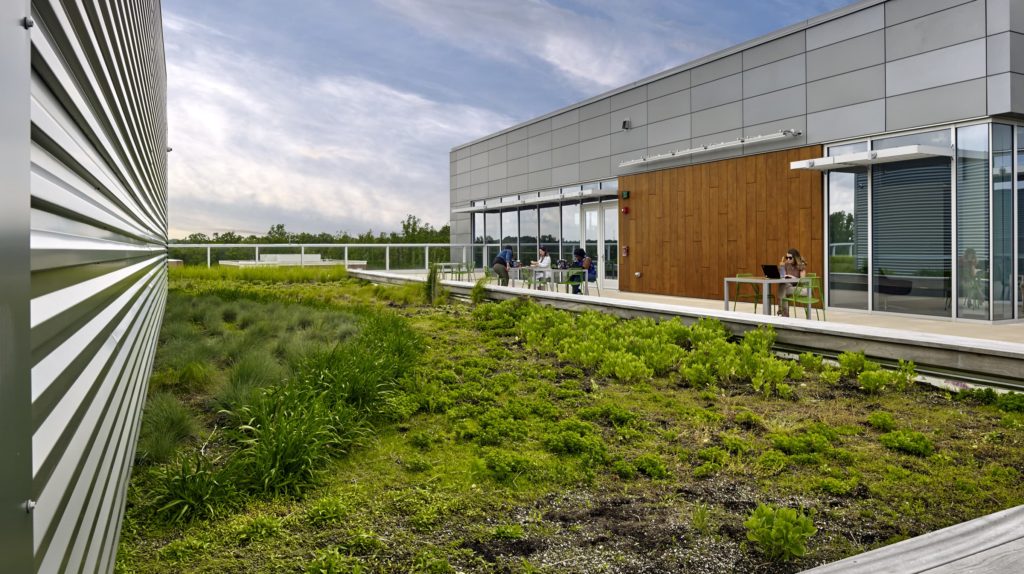 CSC Headquarters | Global Workspace Design by NORR