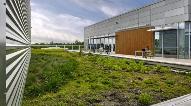 CSC Headquarters | Global Workspace Design by NORR