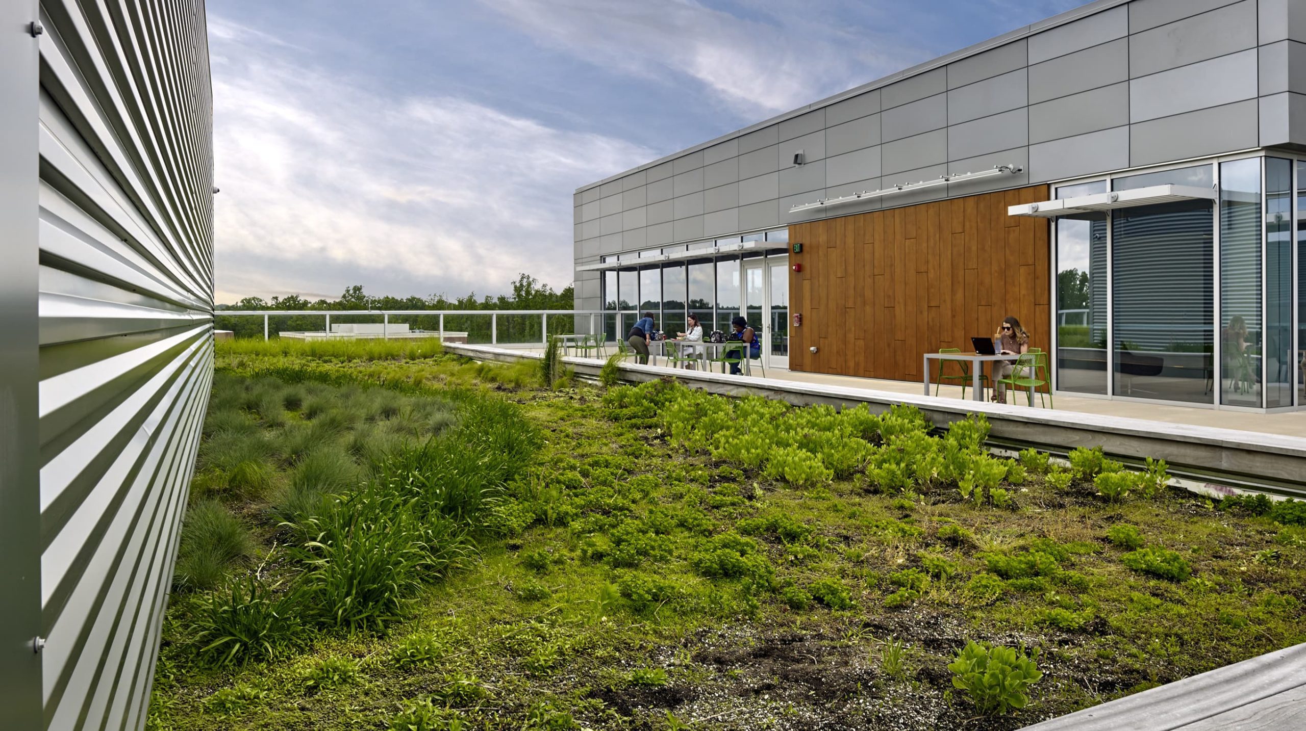 CSC Headquarters | Global Workspace Design by NORR