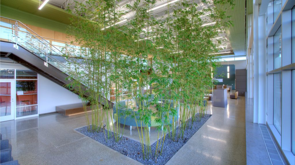 Wayne State University | Advanced Technology Education Design