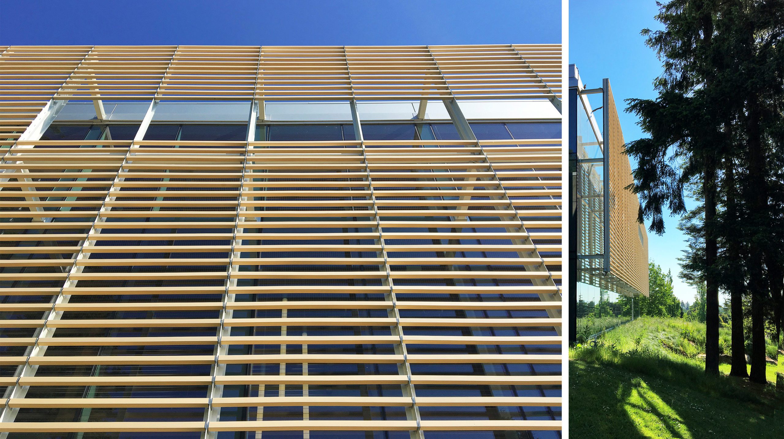 Surrey Courthouse | Government Building Architectural Design