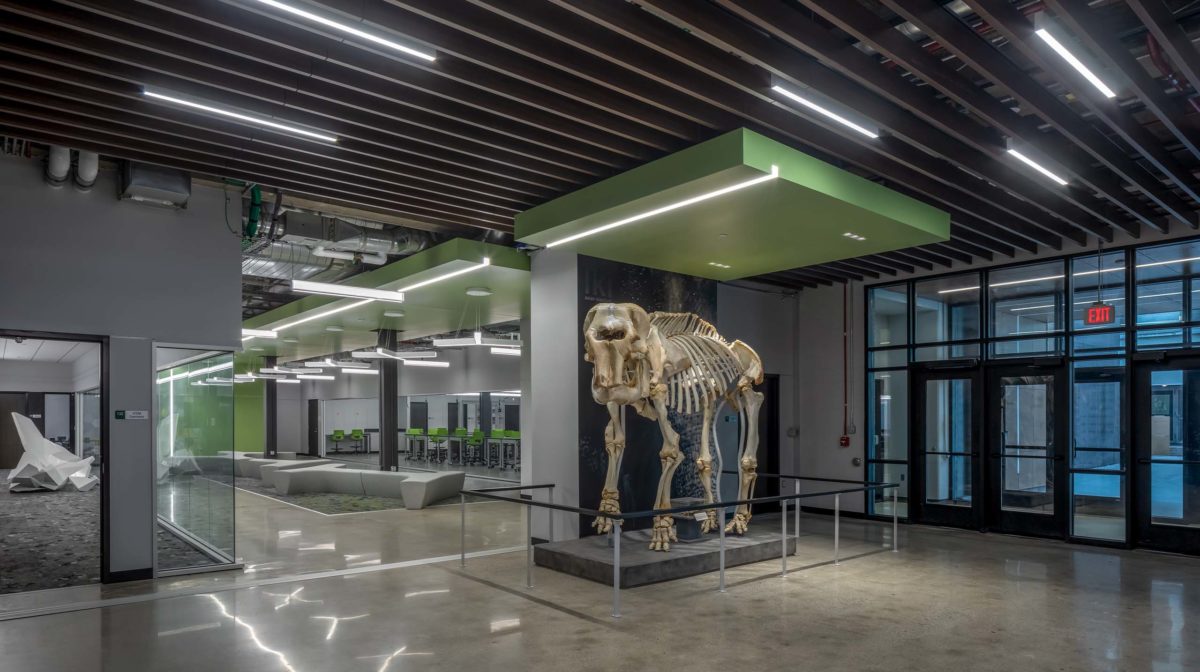 Wayne State University | STEM University Hub Design in Michigan