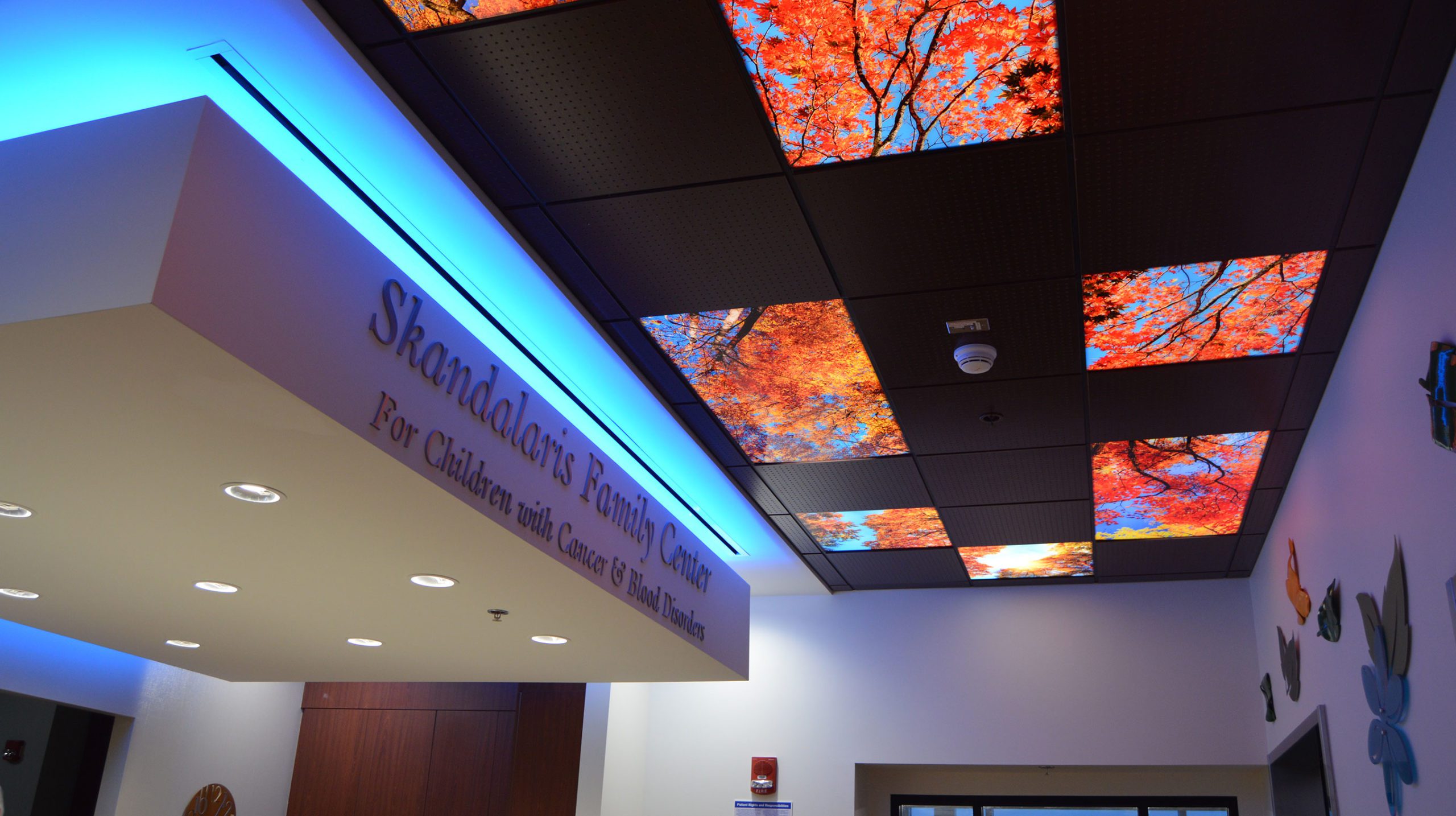 Beaumont Hospital | Hematology & Oncology Program Expansion