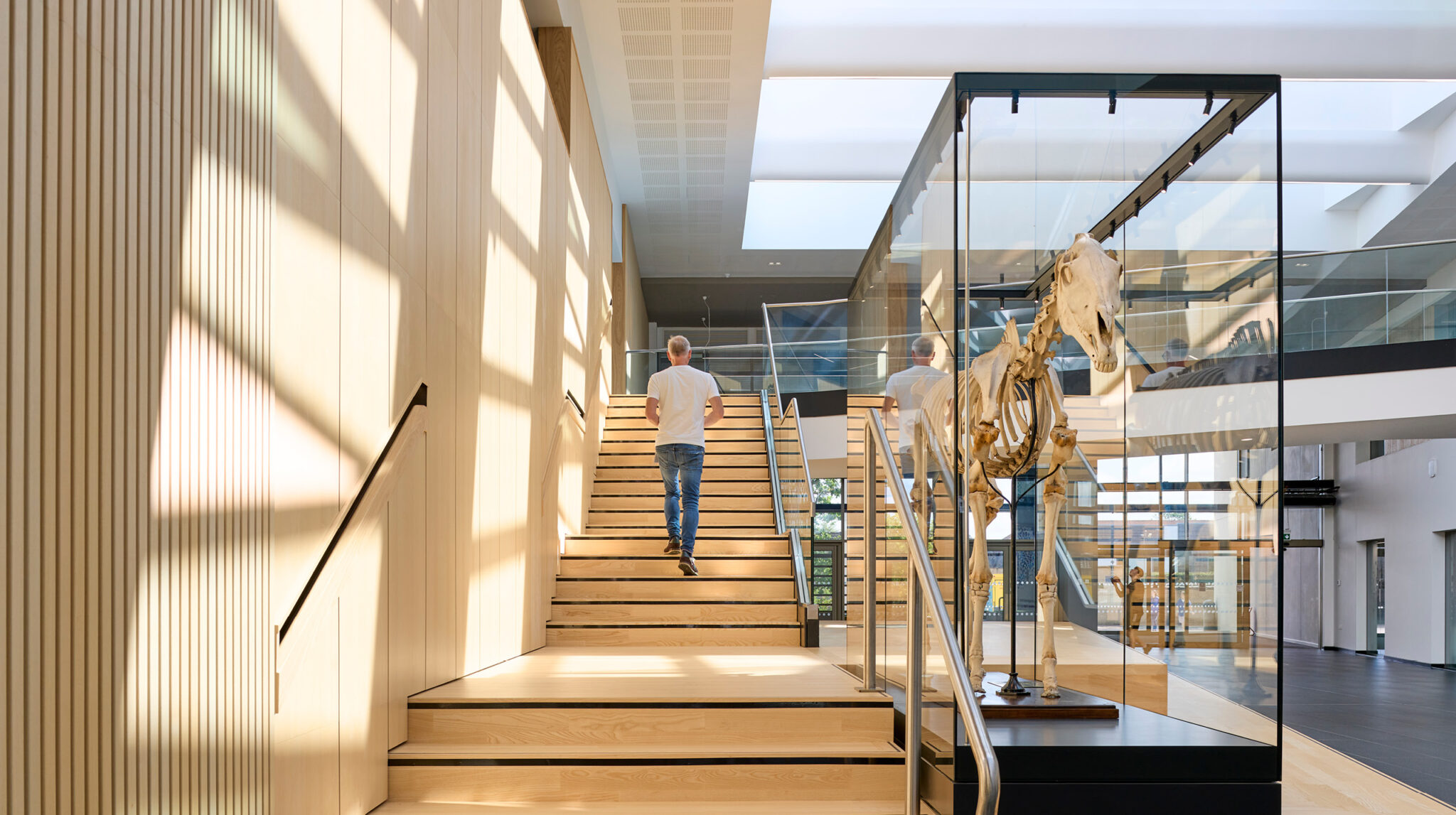 Royal Veterinary College | College Campus Expansion by NORR